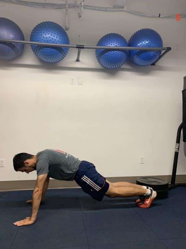 Archery Exercises Library - All The Best Exercises for Archery